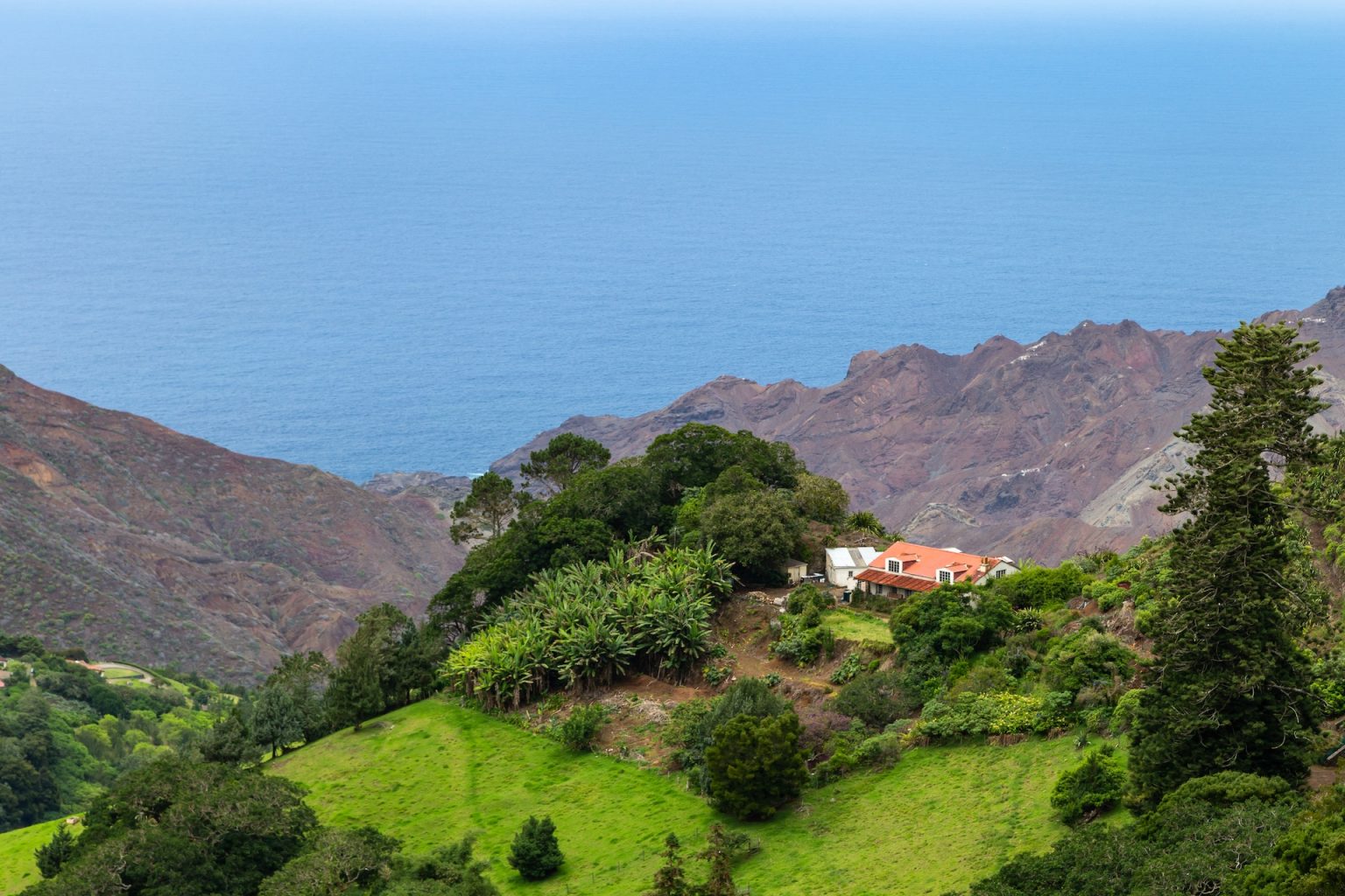 The UK's secret subtropical paradise: why you need to visit St Helena ...