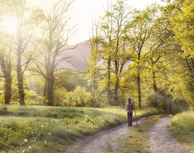 5 epic circular walking routes in the UK - Wired For Adventure