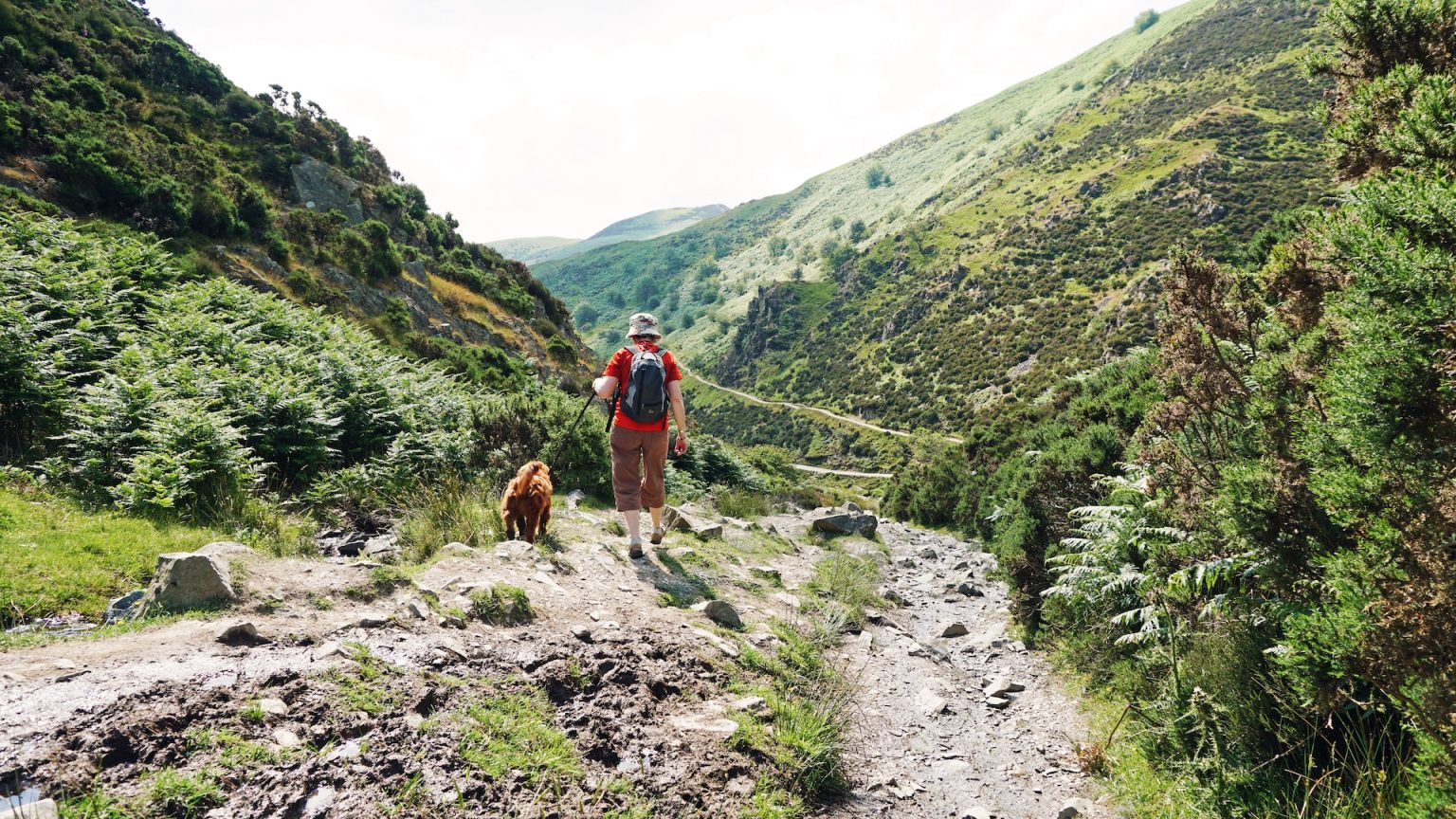Walking in the Shropshire Hills - one of England's most beautiful hikes ...