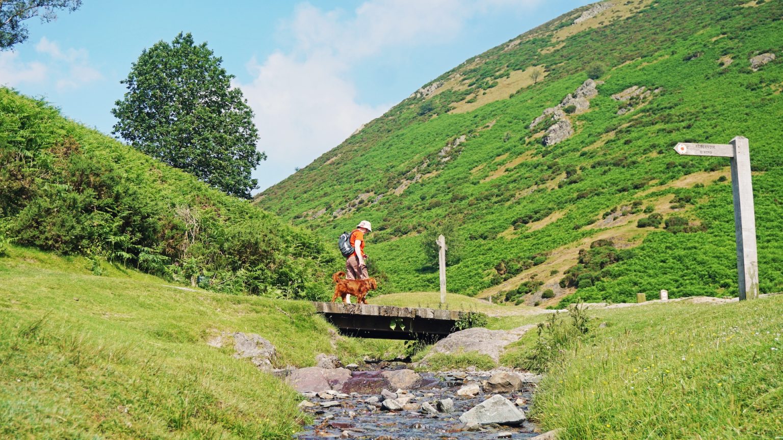 Walking in the Shropshire Hills - one of England's most beautiful hikes ...