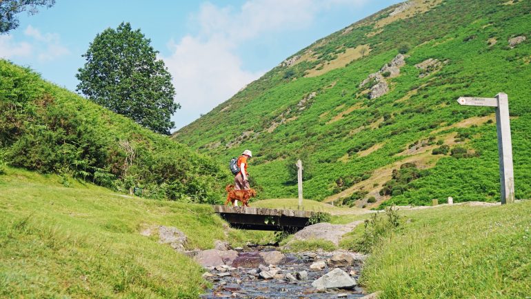 Walking in the Shropshire Hills - one of England's most beautiful hikes ...